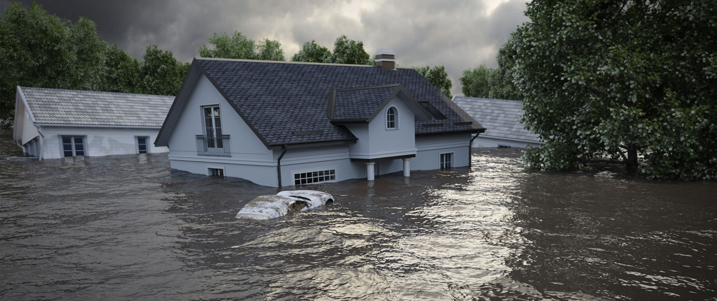 Catastrophe | Capstone ISG